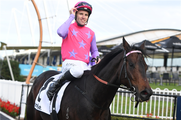 Tommy Berry Charged As RacingNSW Continues O’Shea Phone Call ...