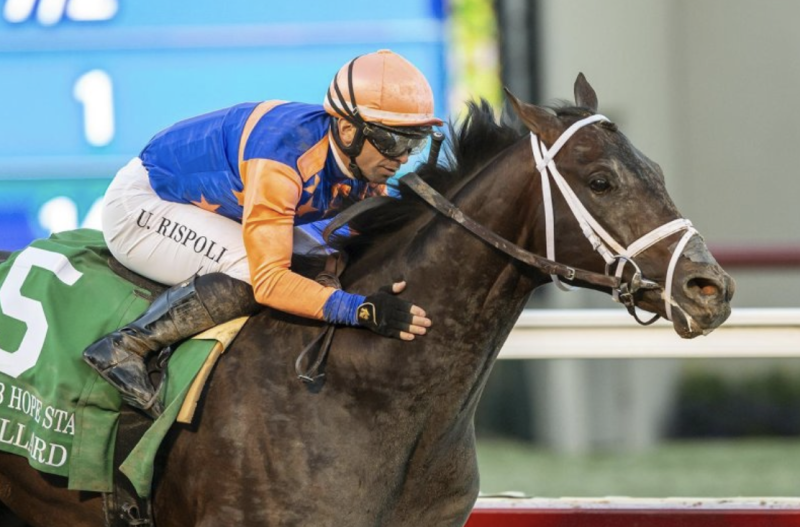 Coast To Coast Action: Kentucky Derby Prep Races | The Sporting Base